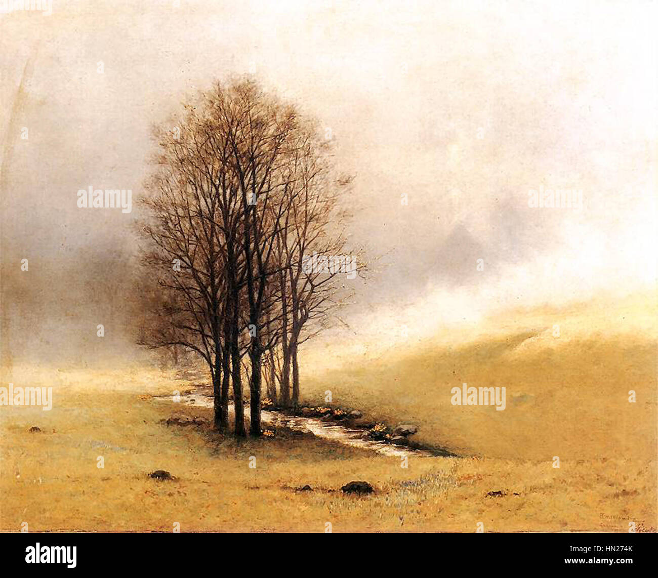 Wiosenna hi-res stock photography and images - Alamy