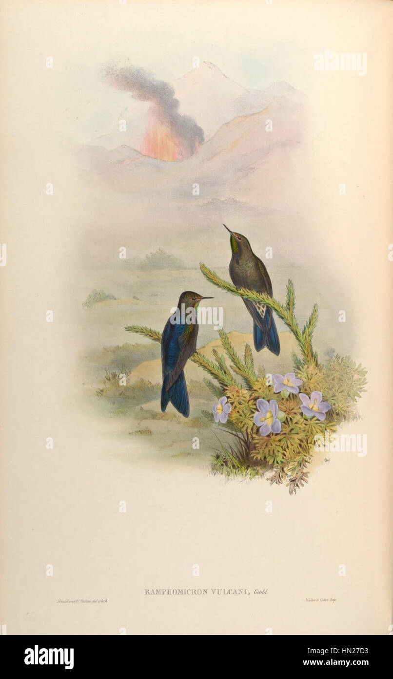This work is a monograph that delves into the life and contributions of ...