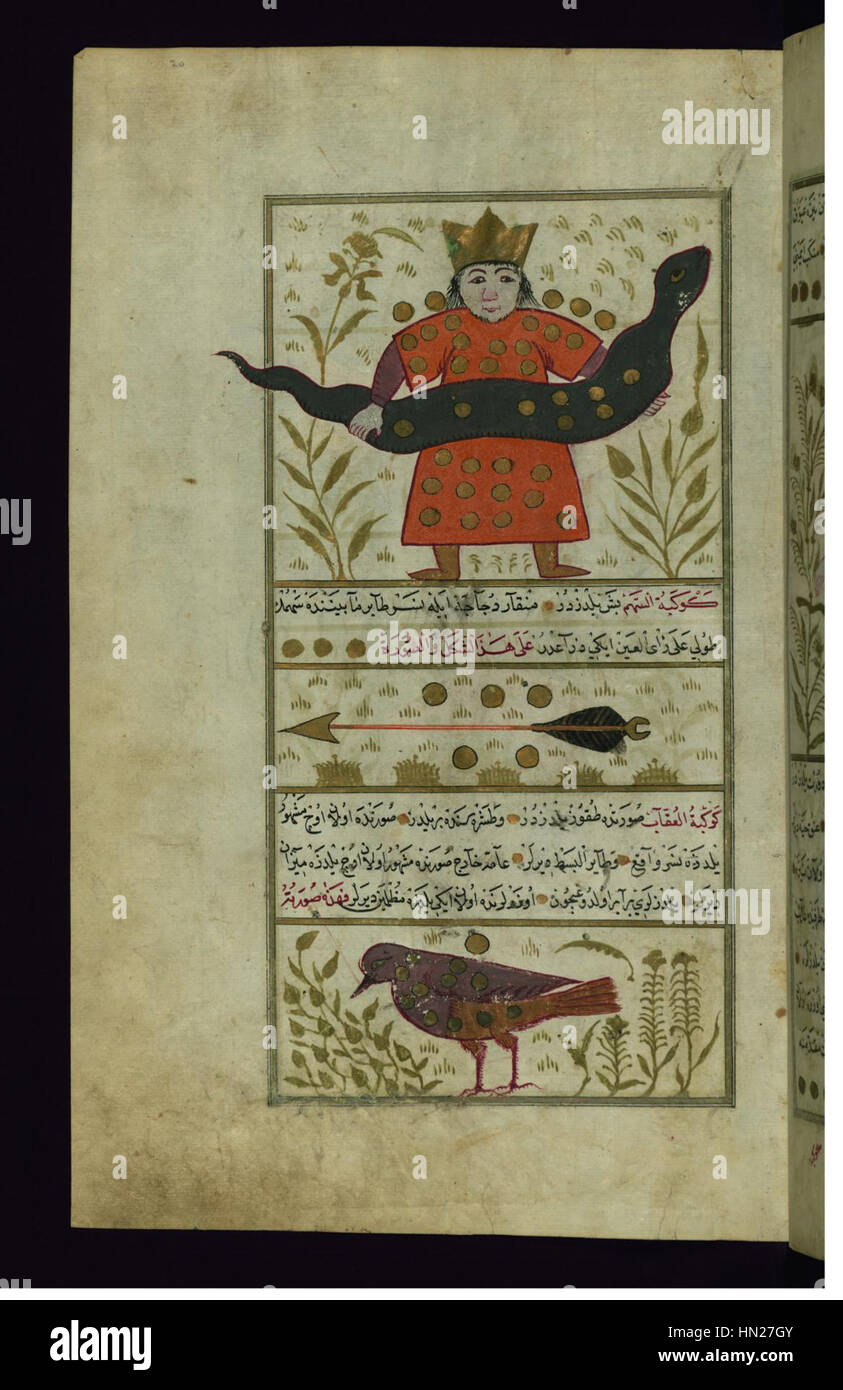 Muhammad ibn Muhammad Shakir Ruzmah-'i Nathani - Serpentarius, Sagitta ...