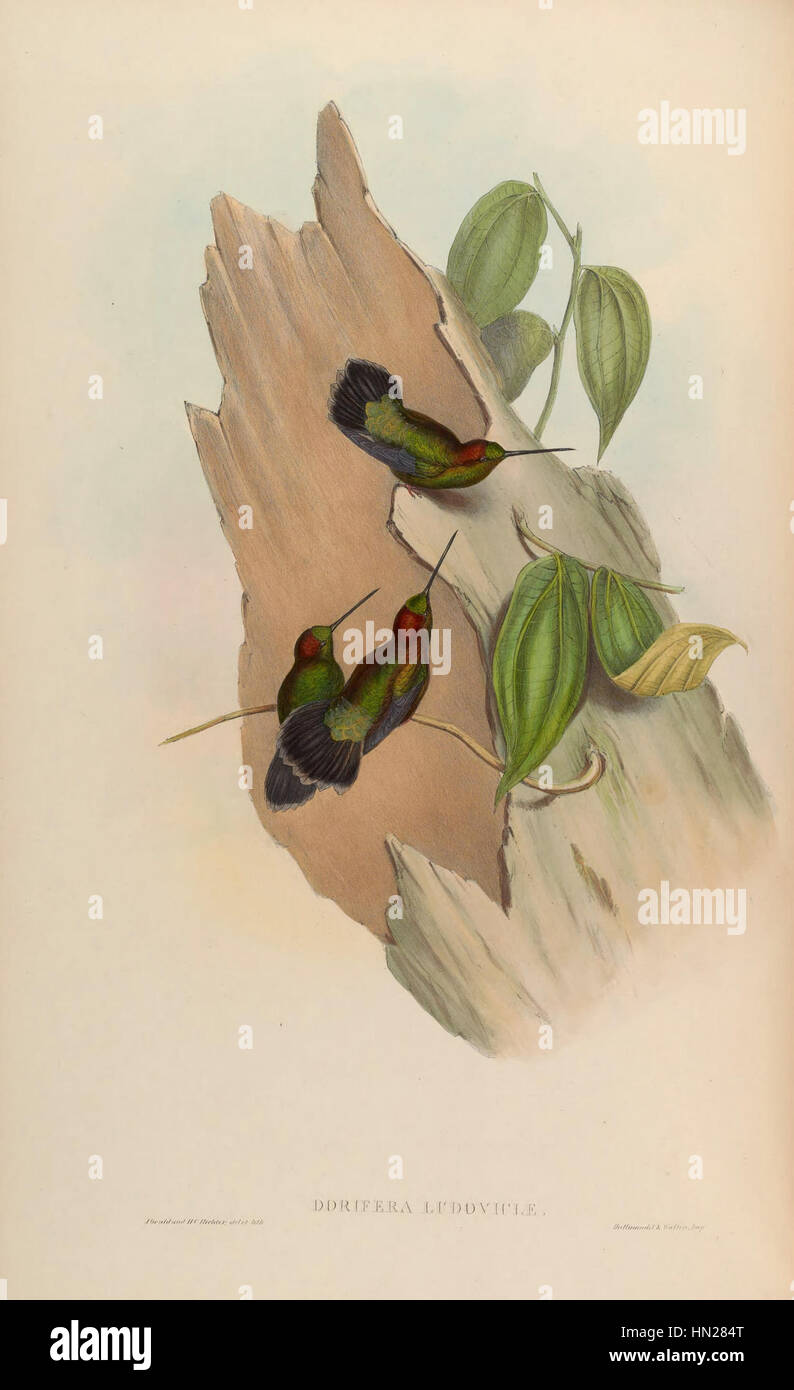 The 'Monograph Trochi 2 Goul 0198' is a detailed study of an artist’s ...