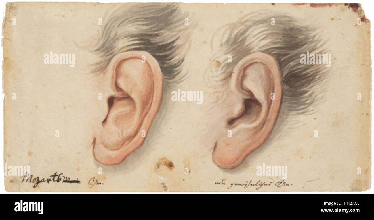 Ear drawing fine art hi-res stock photography and images - Alamy