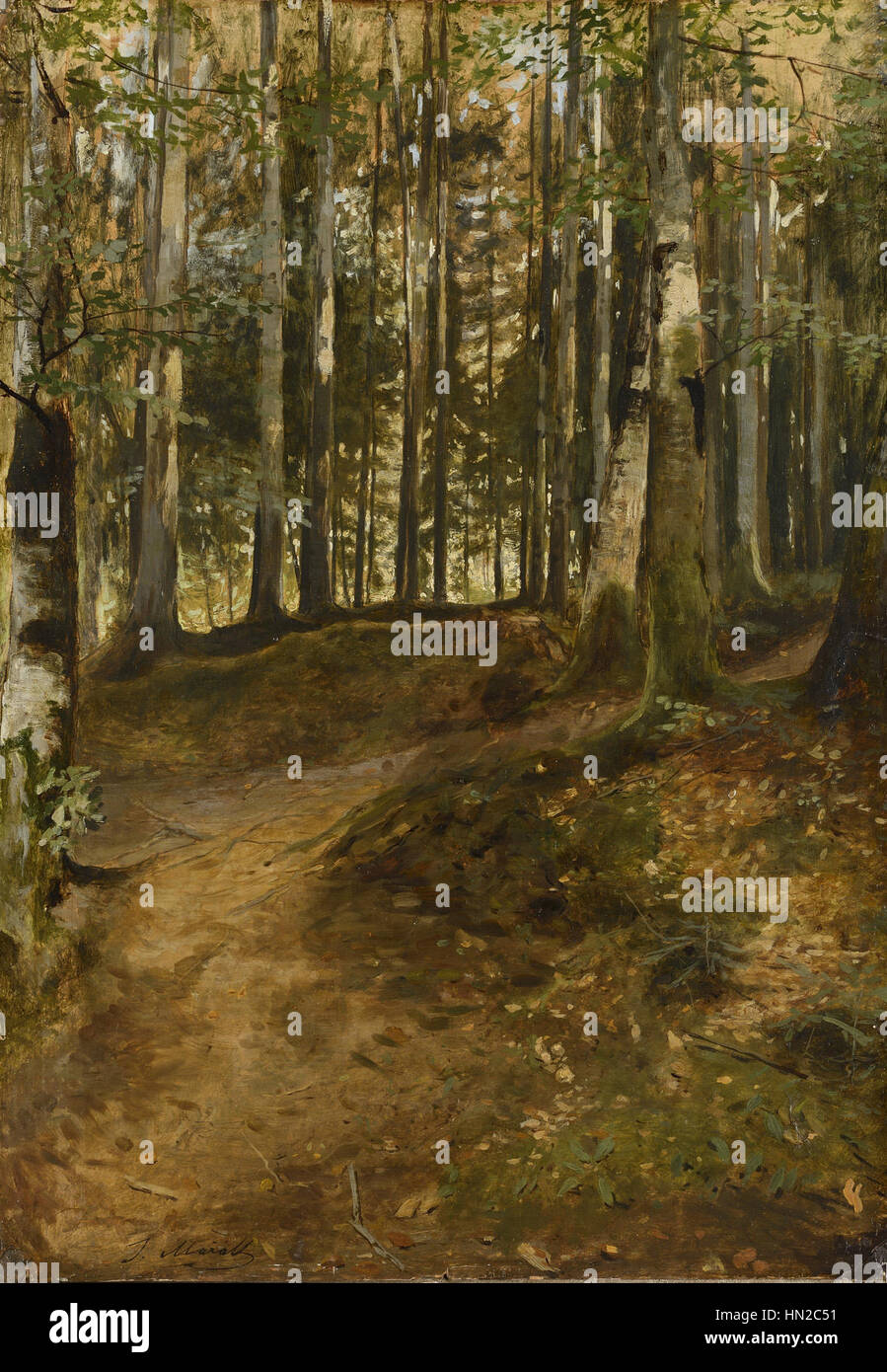 Marak High Resolution Stock Photography and Images - Alamy