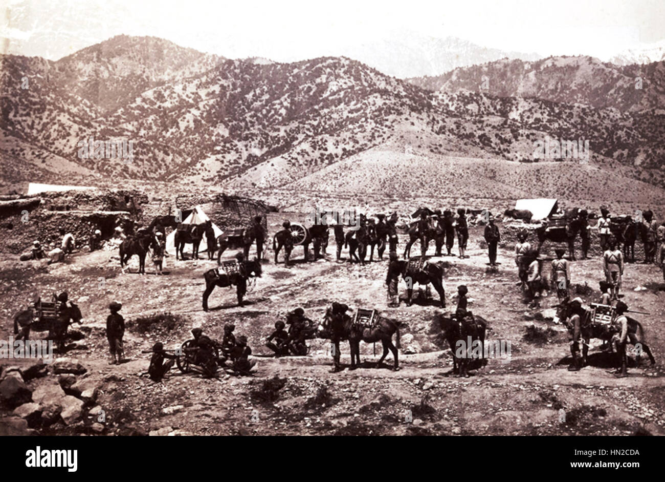 Mule Battery WDL11495 crop Stock Photo - Alamy