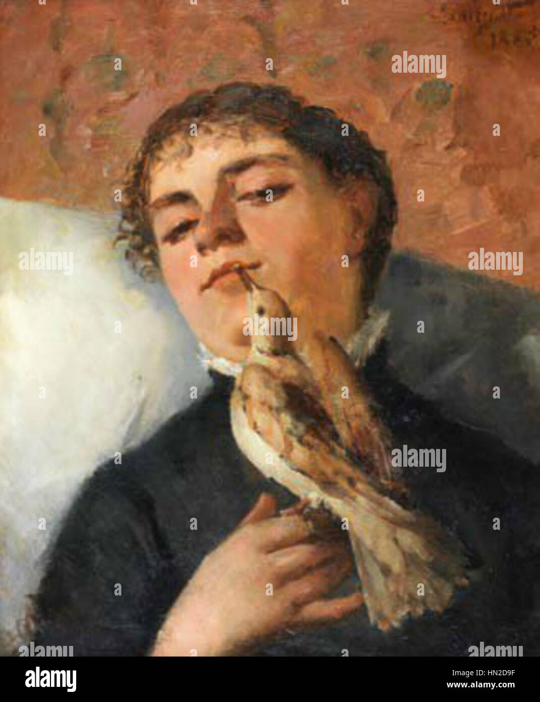 Veloso Salgado High Resolution Stock Photography and Images - Alamy