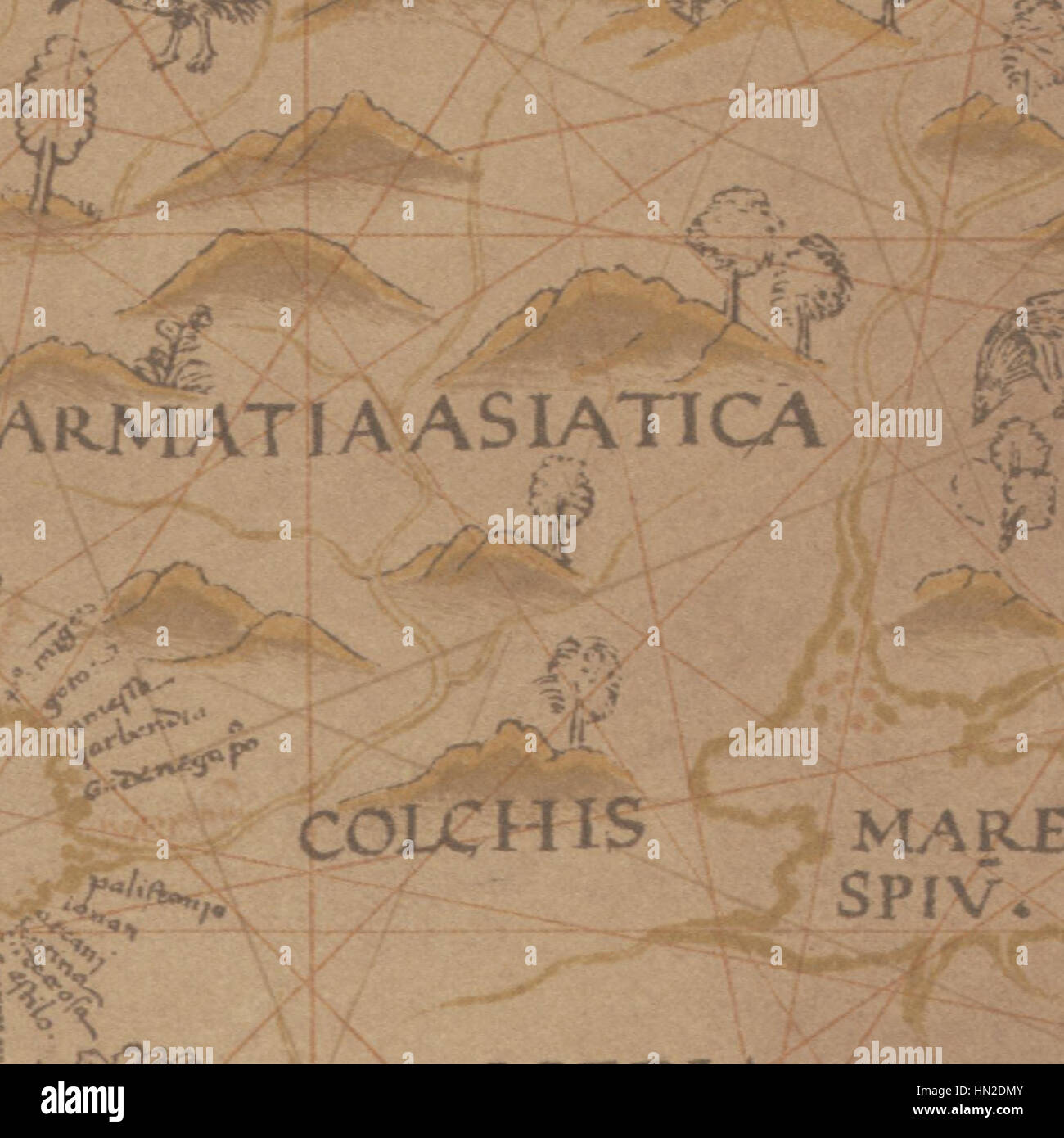 1529 map ribero hi-res stock photography and images - Alamy