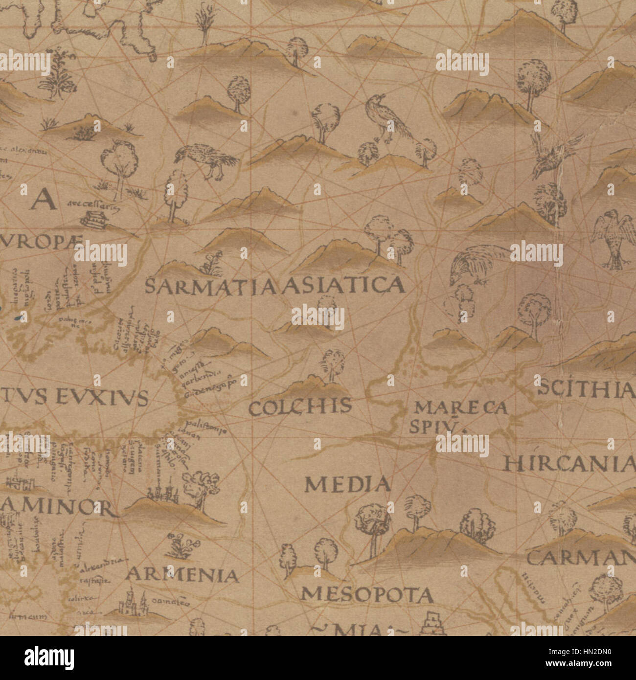 1529 map ribero hi-res stock photography and images - Alamy