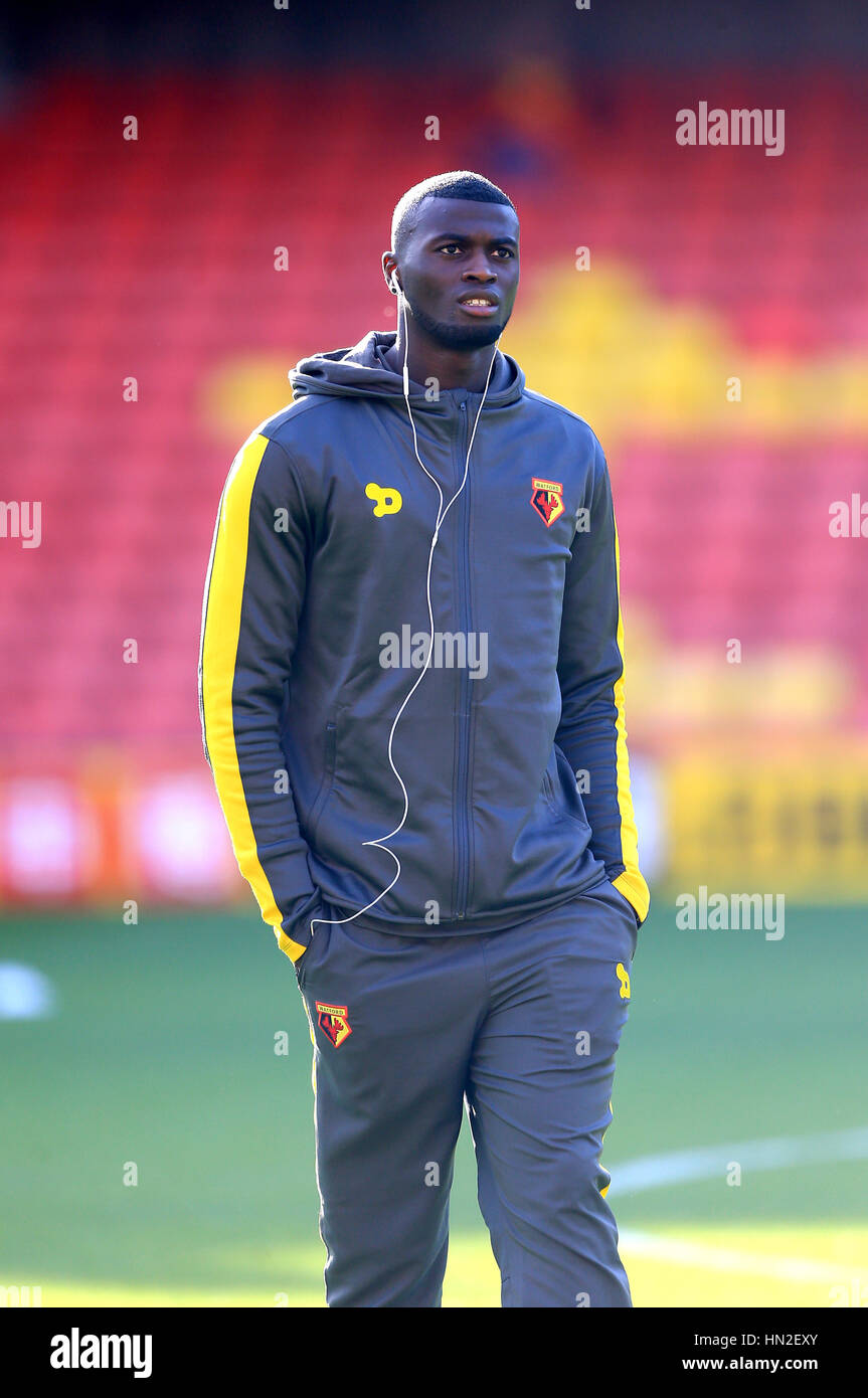 Watford's M'Baye Niang Stock Photo - Alamy