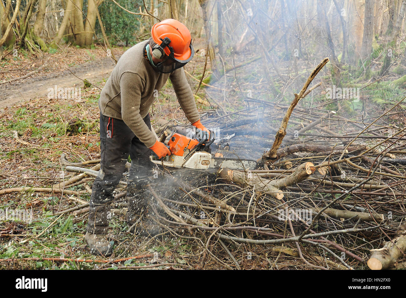 Man using Chainsaw Stock Photo - Alamy