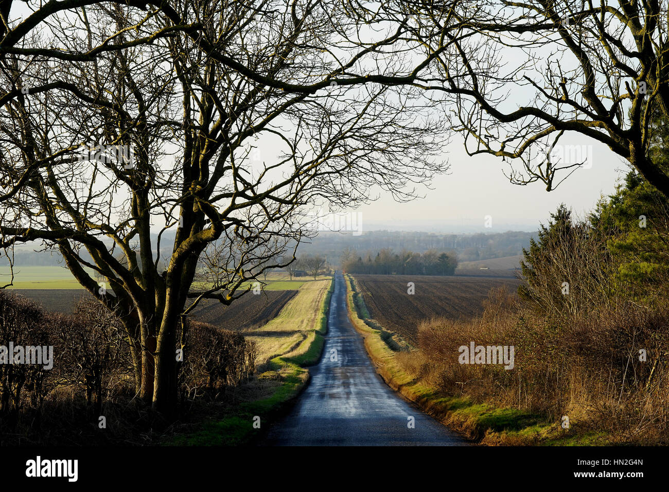 The road to Odsey Stock Photo - Alamy