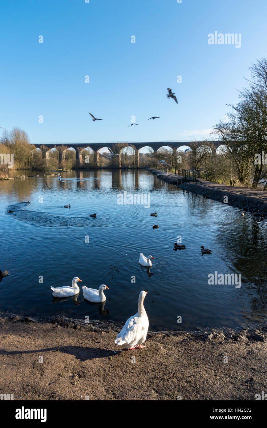 Reddish Vale country park, Greater Manchester, England Stock Photo - Alamy