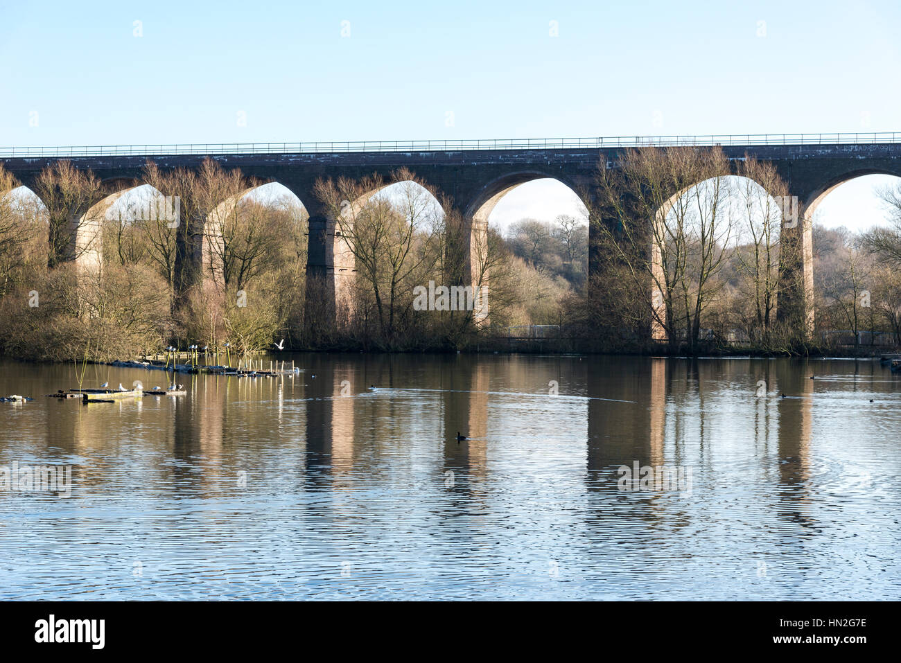 Country park birds hi-res stock photography and images - Alamy