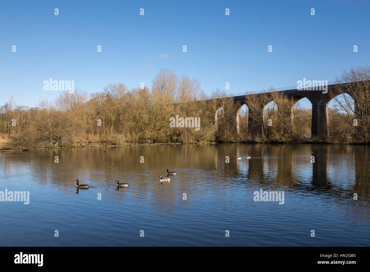 Railway viaduct reflected in lake at Reddish Vale country park ...