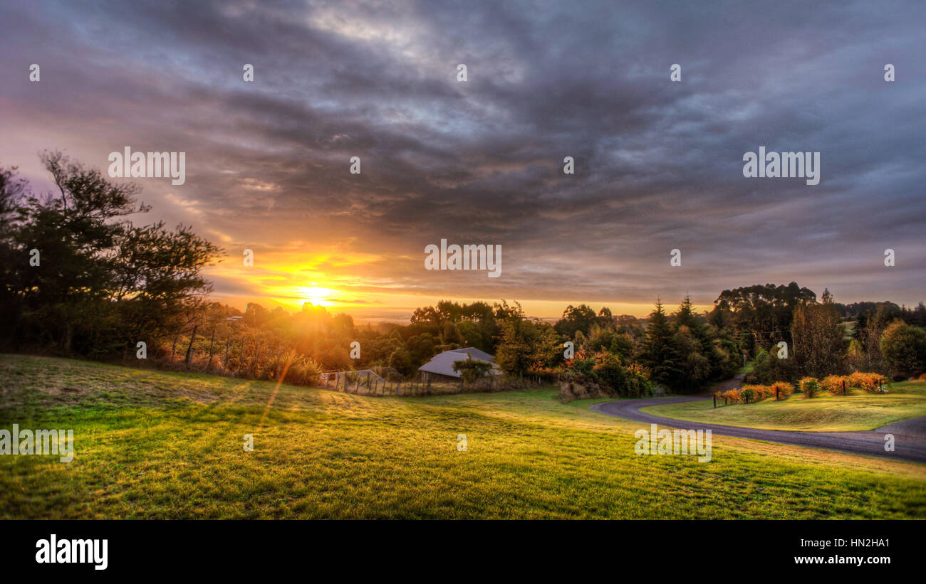 Bluebonnets texas sunset hi-res stock photography and images - Alamy