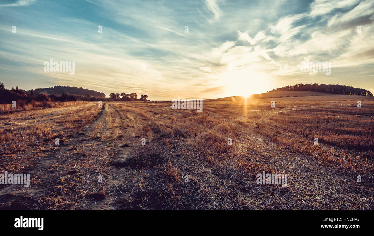 A warm sunset on the field Stock Photo - Alamy