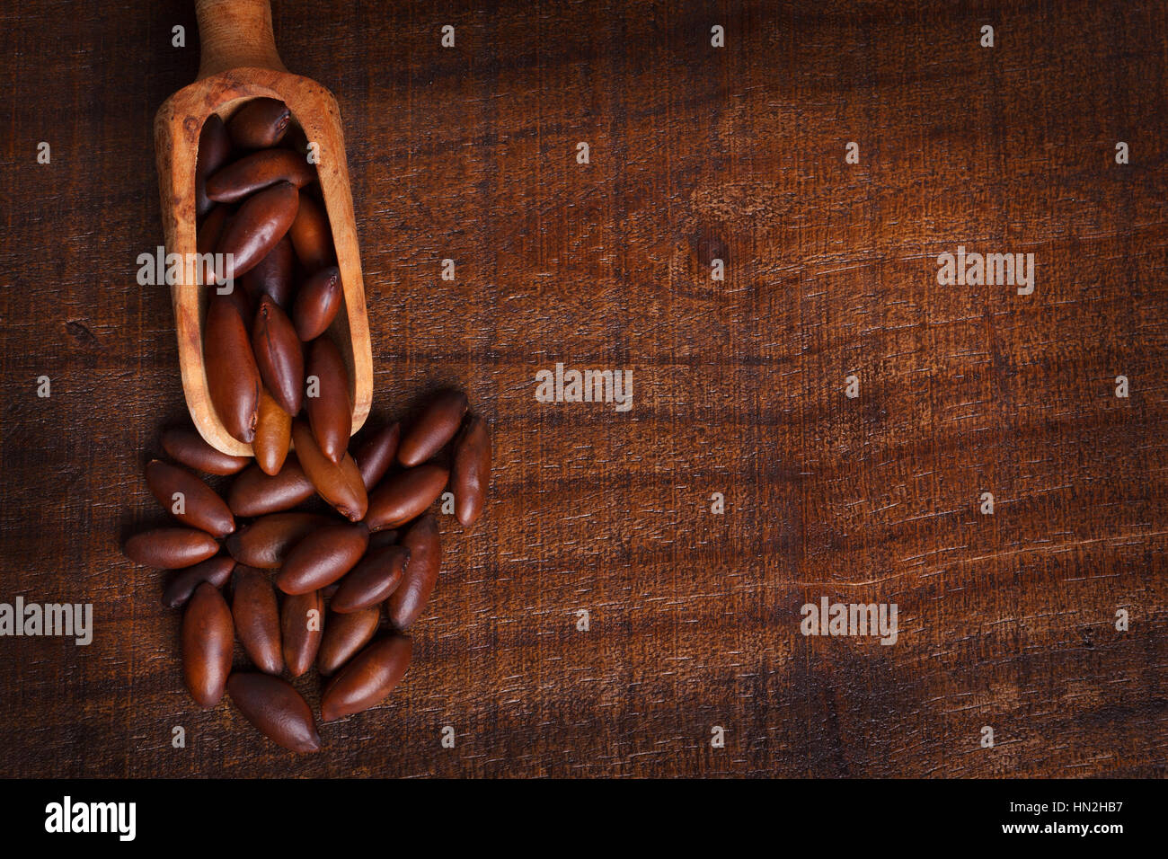 Baru almond (Cumaru, Cumbaru, Barujo, Coco-feijao, Cumarurana) on ...