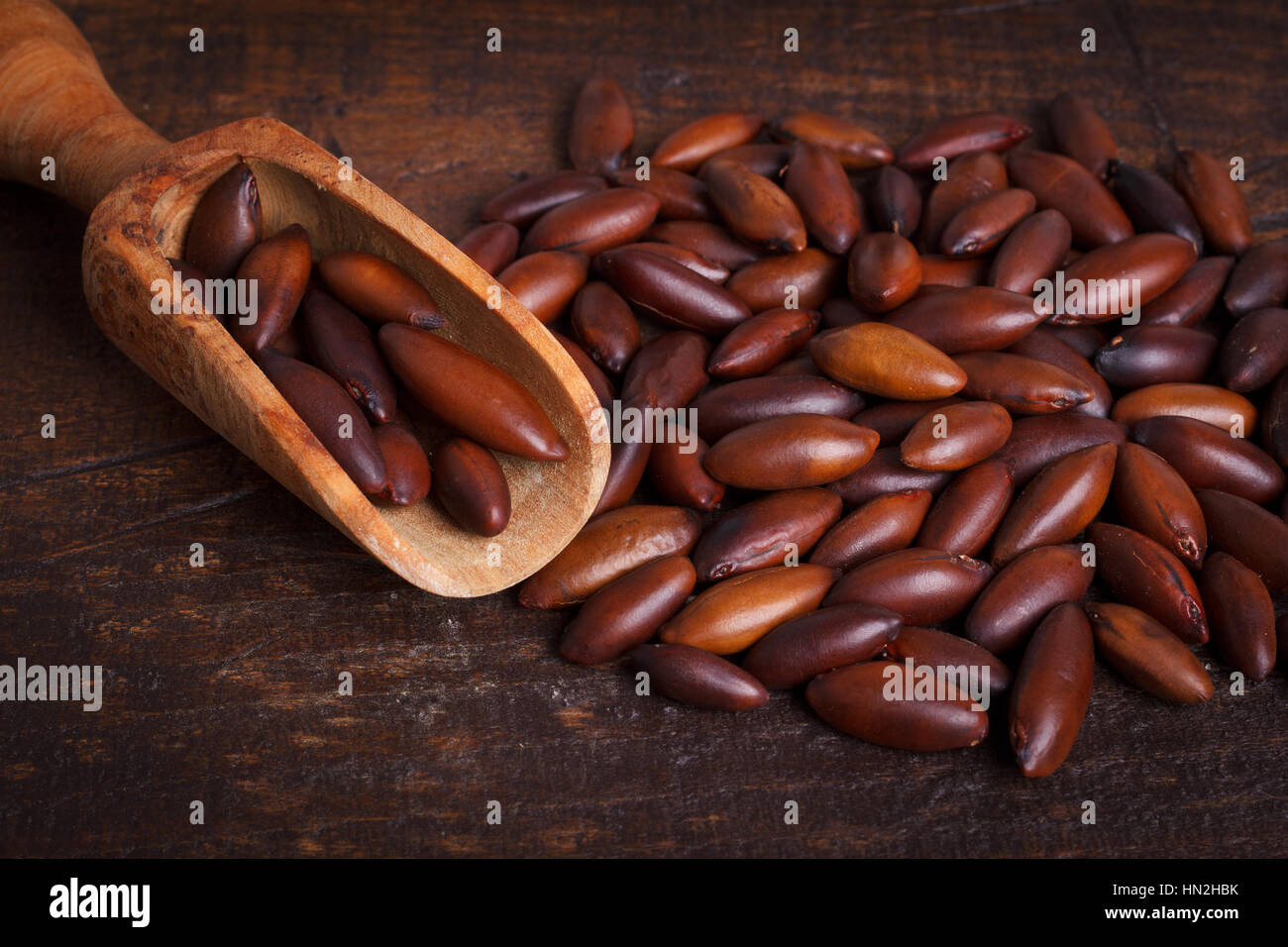 Baru almond (Cumaru, Cumbaru, Barujo, Coco-feijao, Cumarurana) on ...