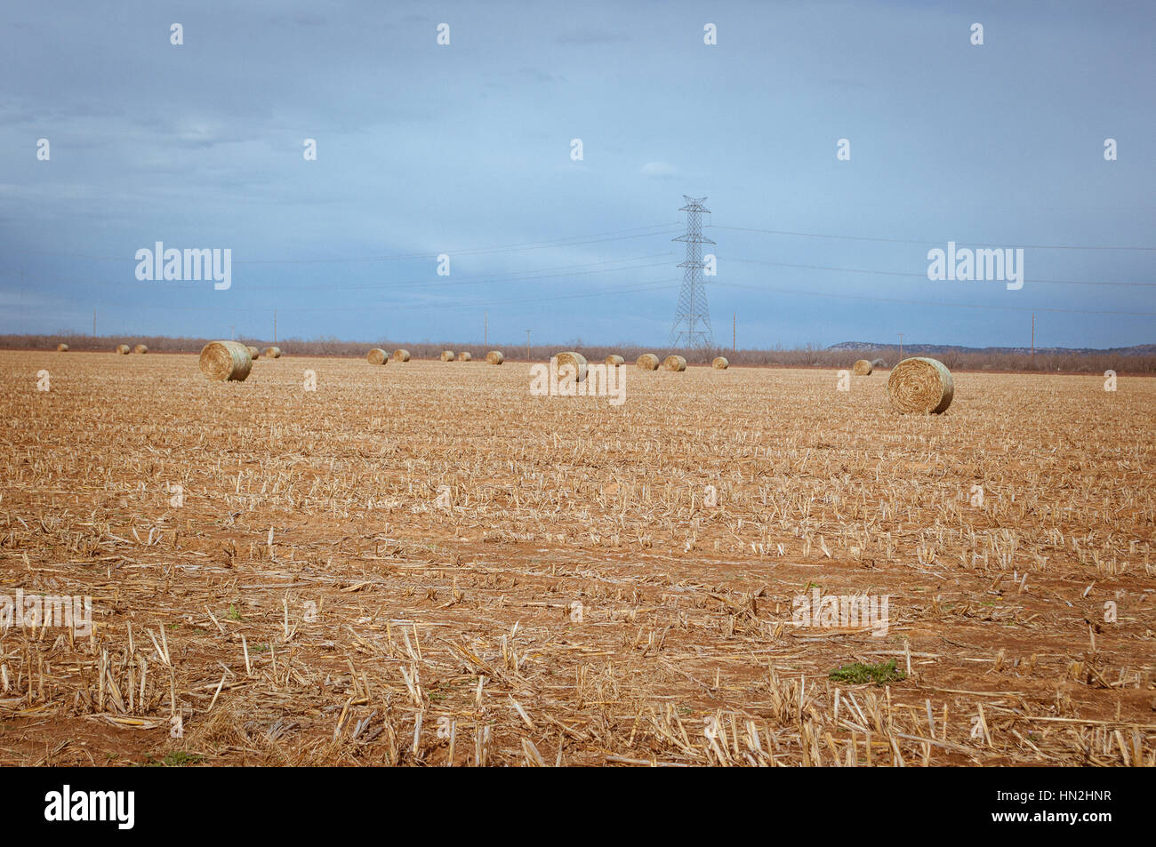 Hay fields hi-res stock photography and images - Alamy