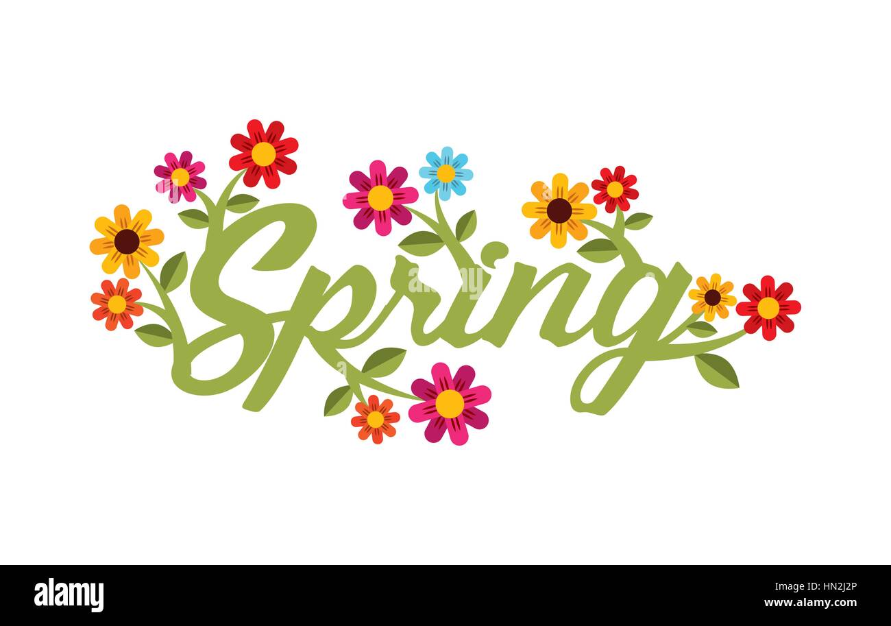 beautiful flowers over white background. spring season concept ...
