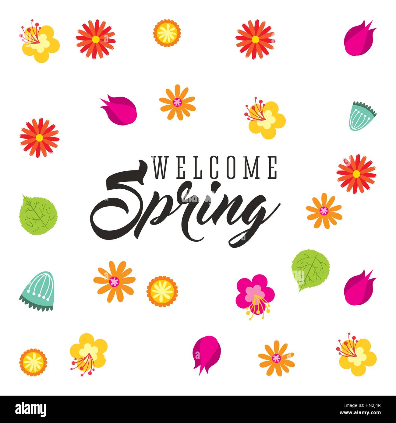 beautiful flowers and leaves over white background. spring season ...