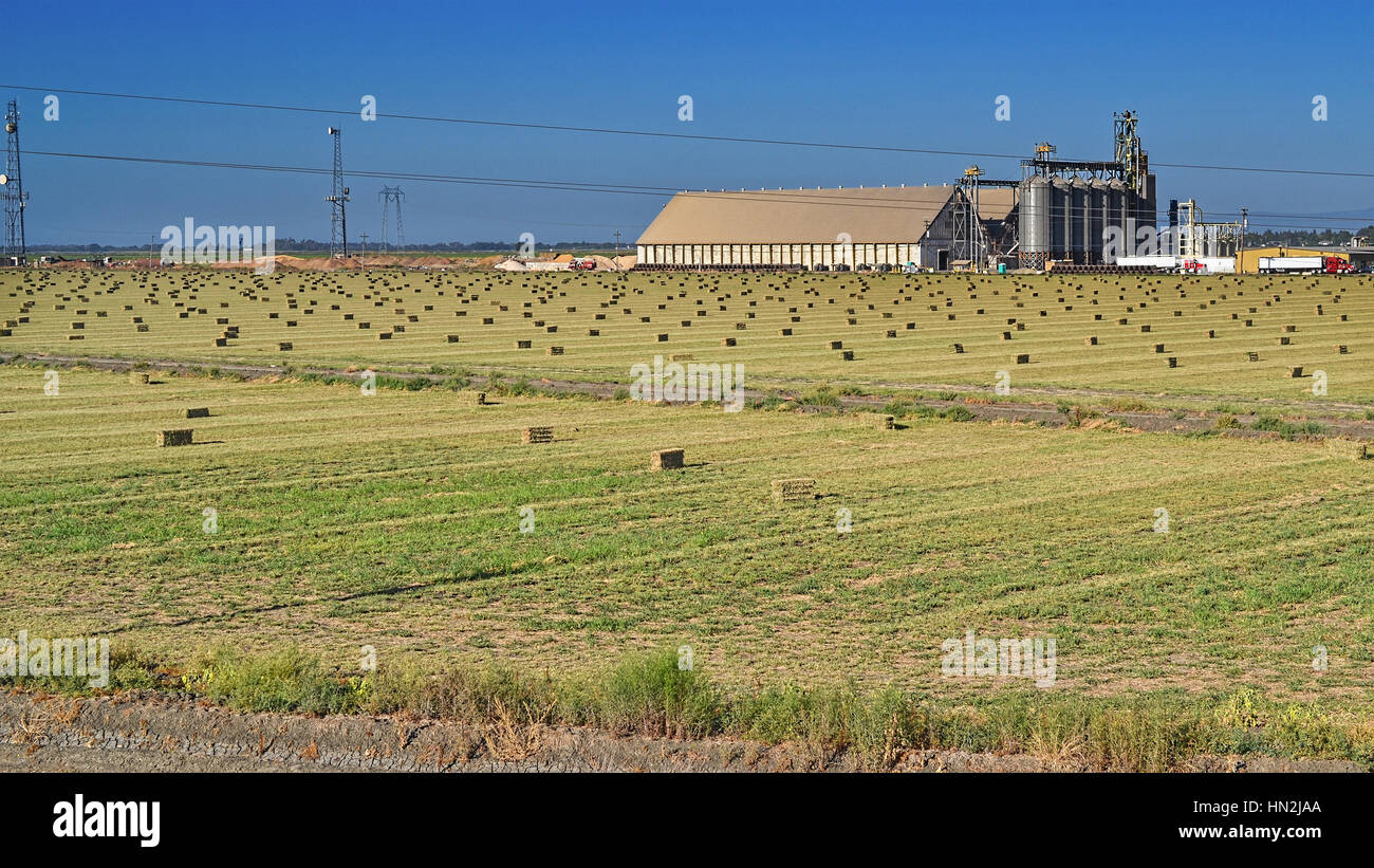 Rice warehouse hi-res stock photography and images - Alamy