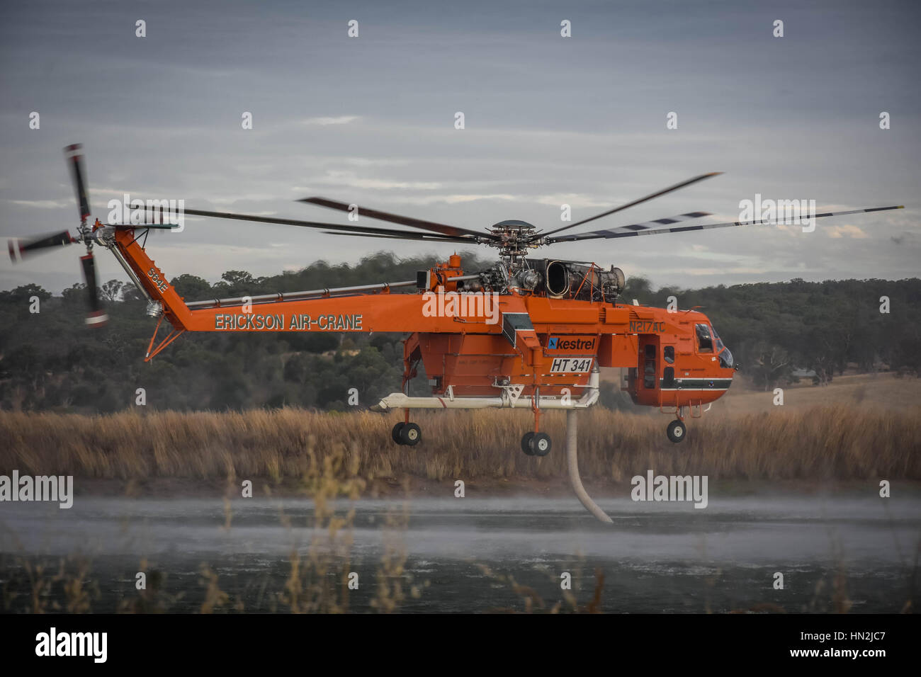 An Erickson aircrane fire-bombing helicopter fills up in a dam ...