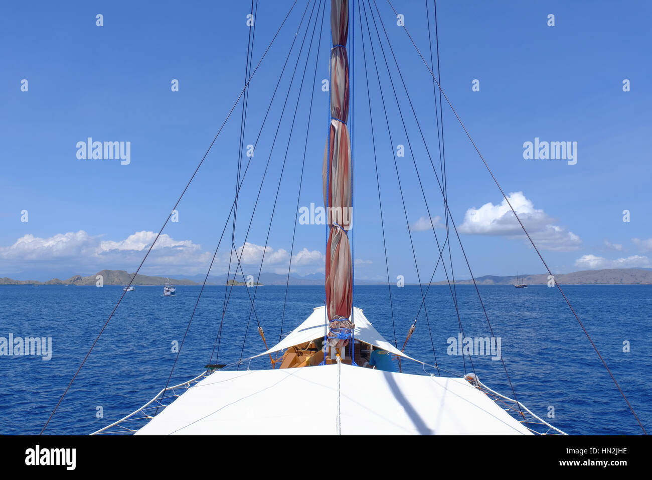 Komodo. The wild dragon in the Rinca island. Rinca island is part of ...