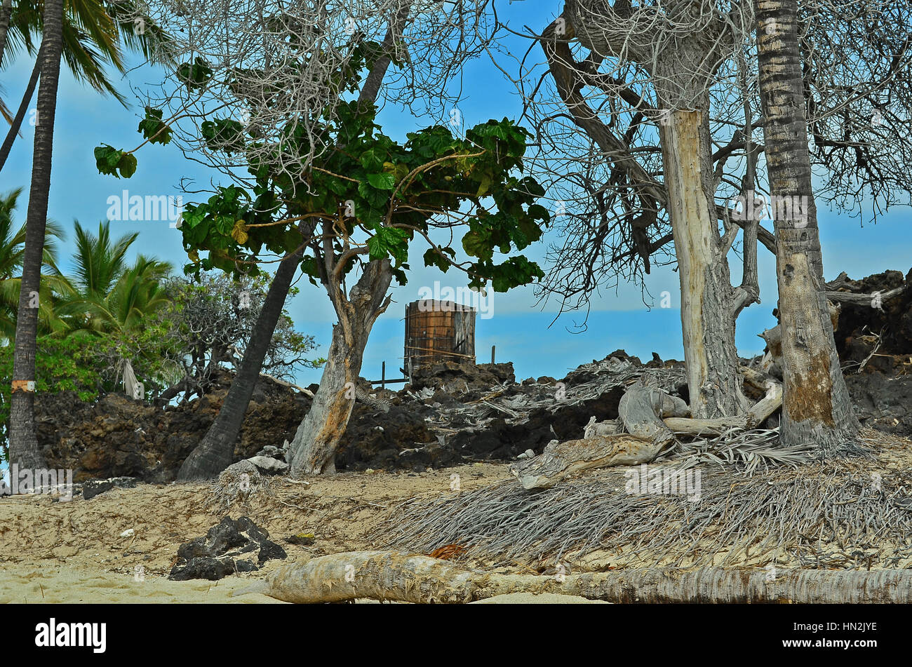 Mahai'ula beach hi-res stock photography and images - Alamy