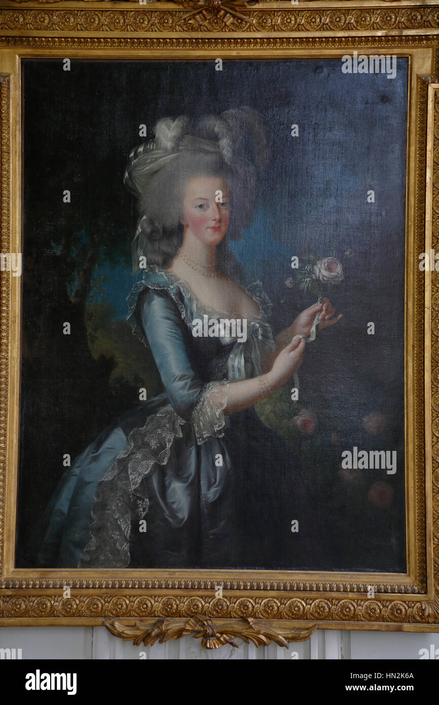 VERSAILLE: Painting Marie Antoinette, Wife of King Louis XVI of France ...