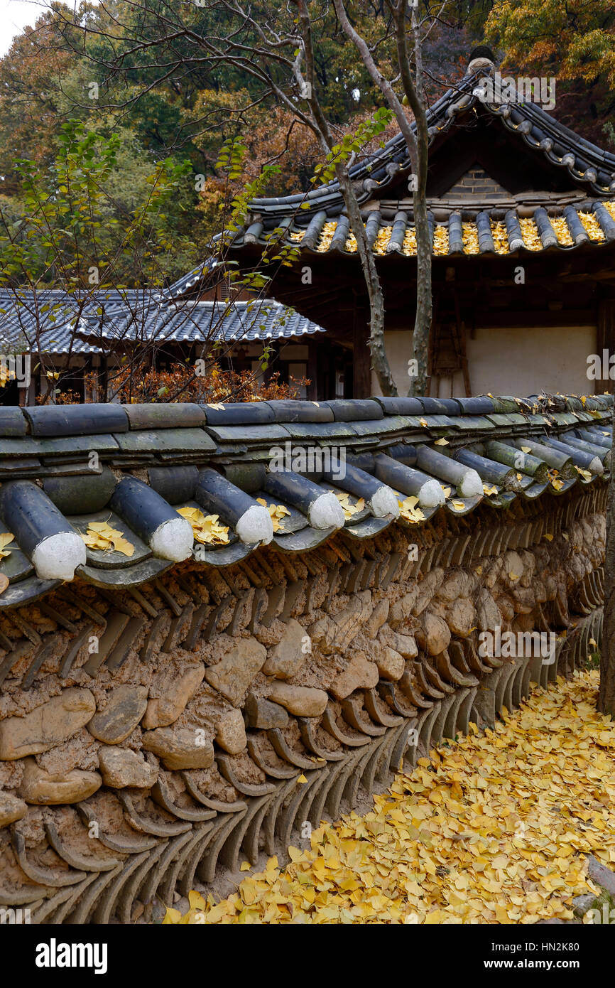 Autumn color at Namsangol folk village, Seoul, South Korea - NOVEMBER ...