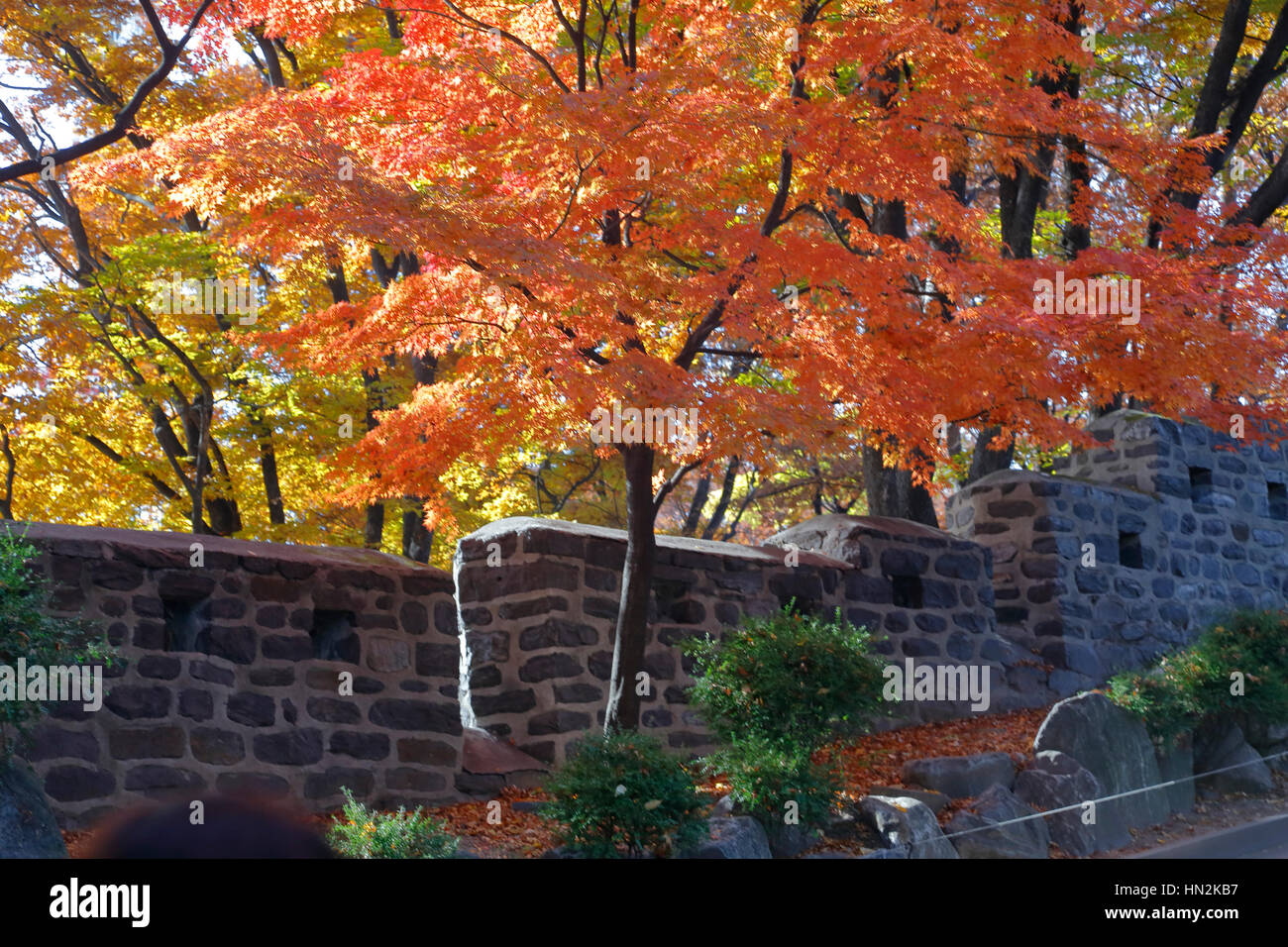 Autumn color from view from Seoul Tower hilltop, Seoul South Korea ...