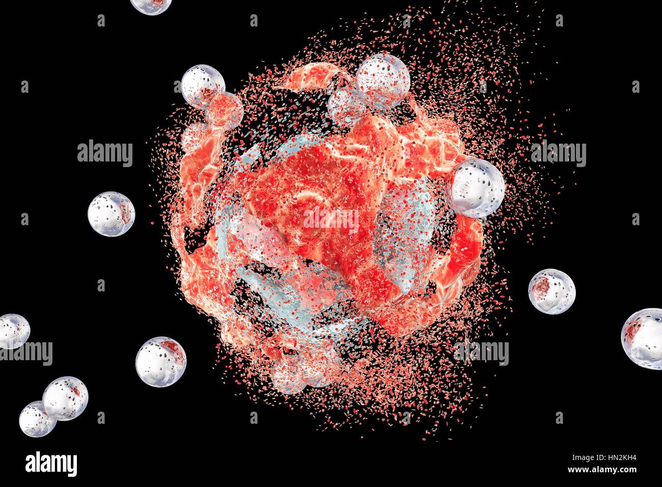Destruction of a cancer cell by nanoparticles, computer illustration ...