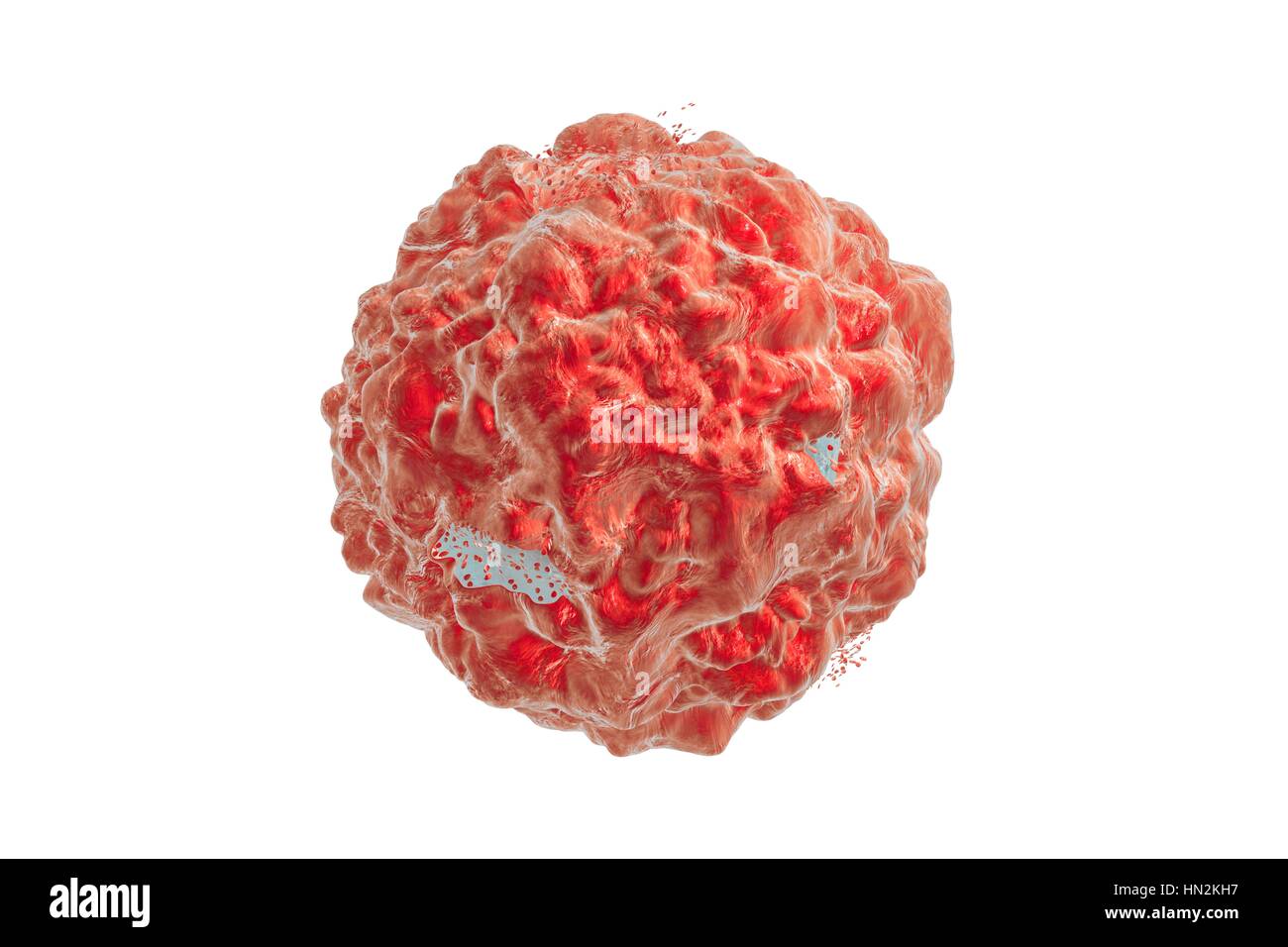 Destruction of a cancer cell, computer illustration. Conceptual image ...