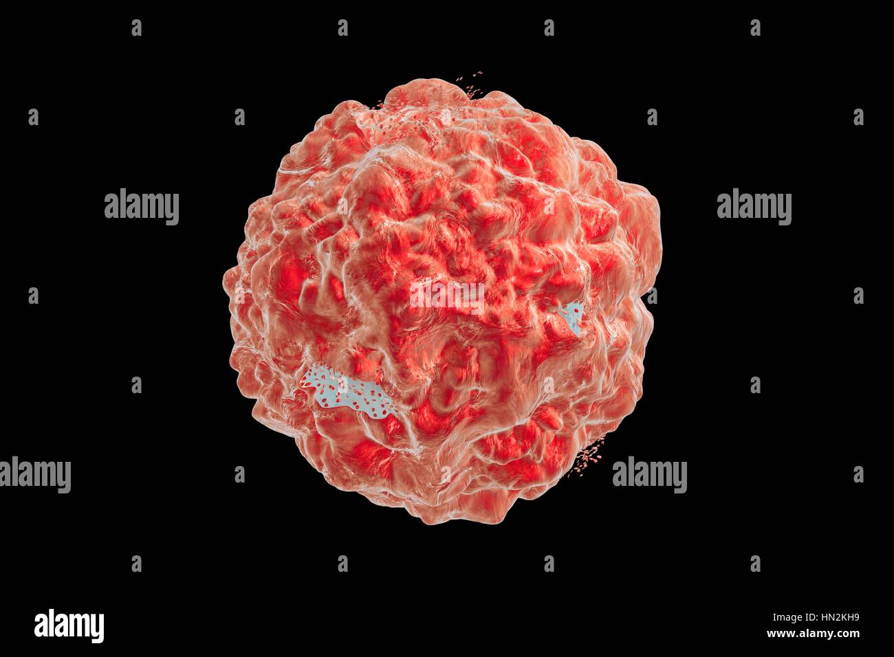 Destruction of a cancer cell, computer illustration. Conceptual image ...
