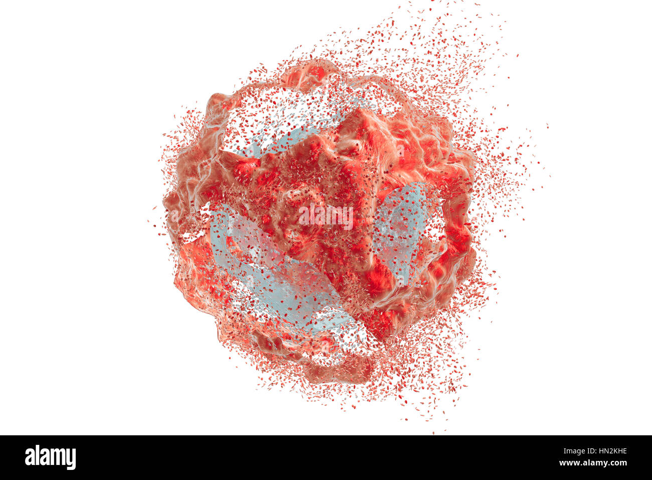 Destruction of a cancer cell, computer illustration. Conceptual image ...