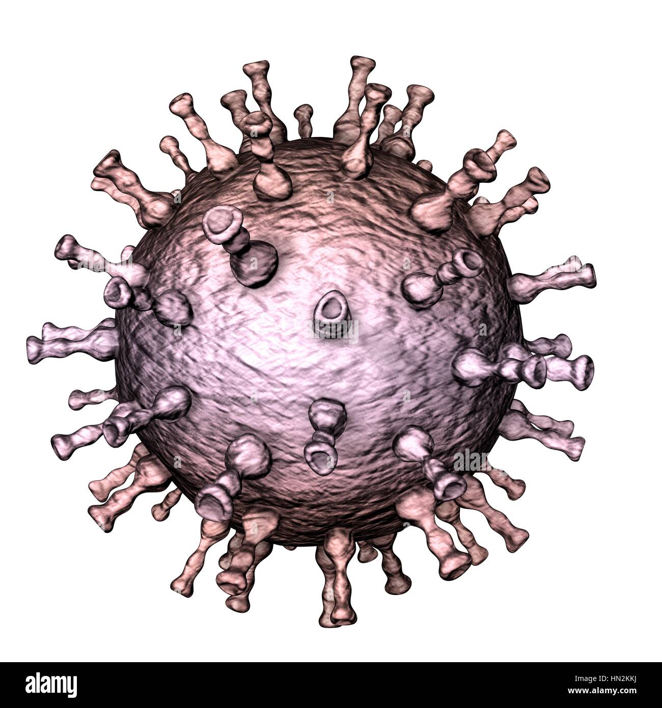 Computer illustration of a varicella zoster virus particle, the cause ...