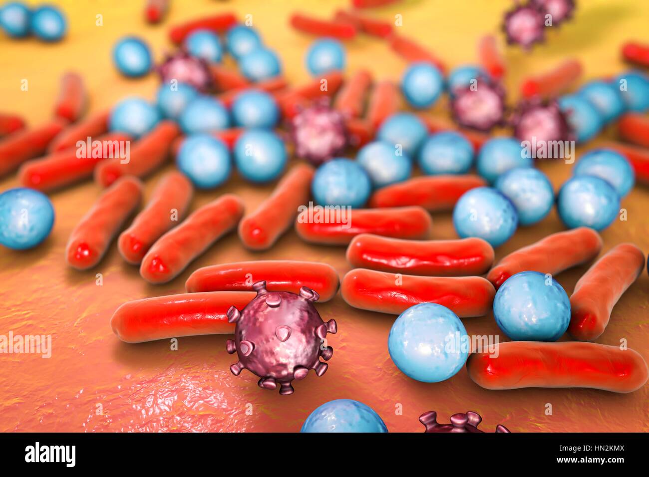 Bacteria of different shapes hi-res stock photography and images - Alamy