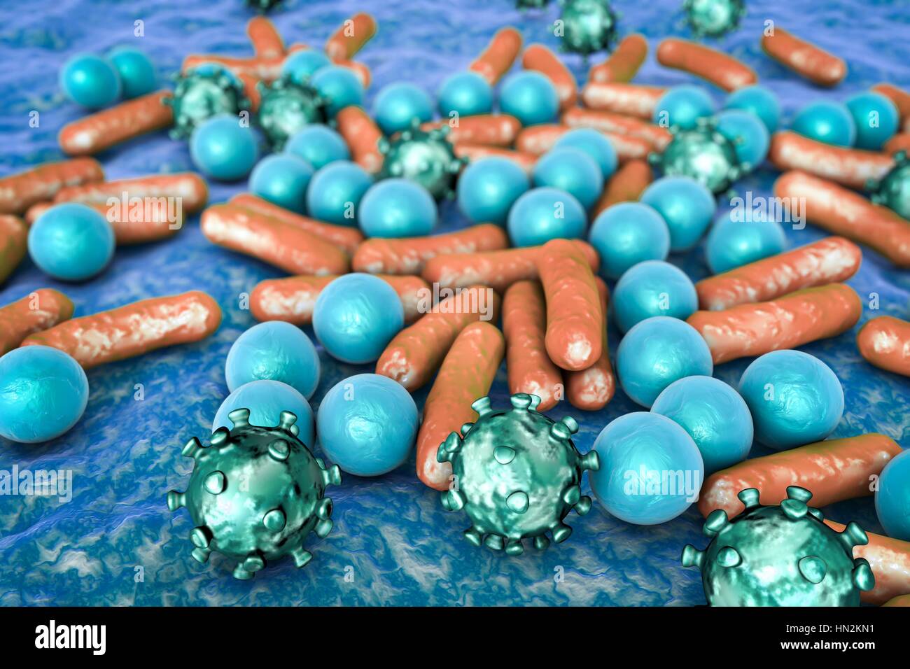 Various microbes of different shapes, computer illustration. Mixture of ...