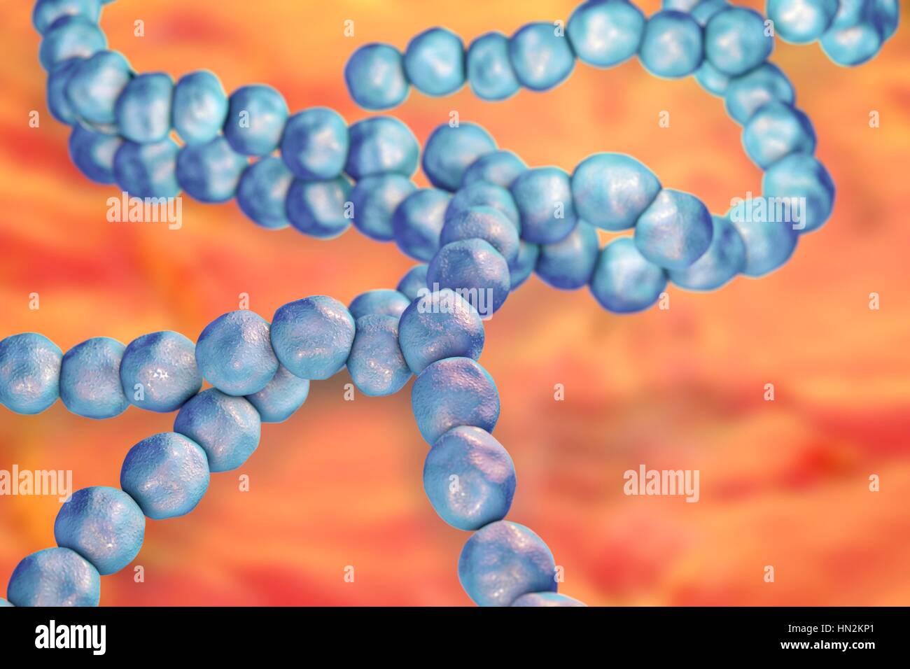 Dental caries streptococci hi-res stock photography and images - Alamy