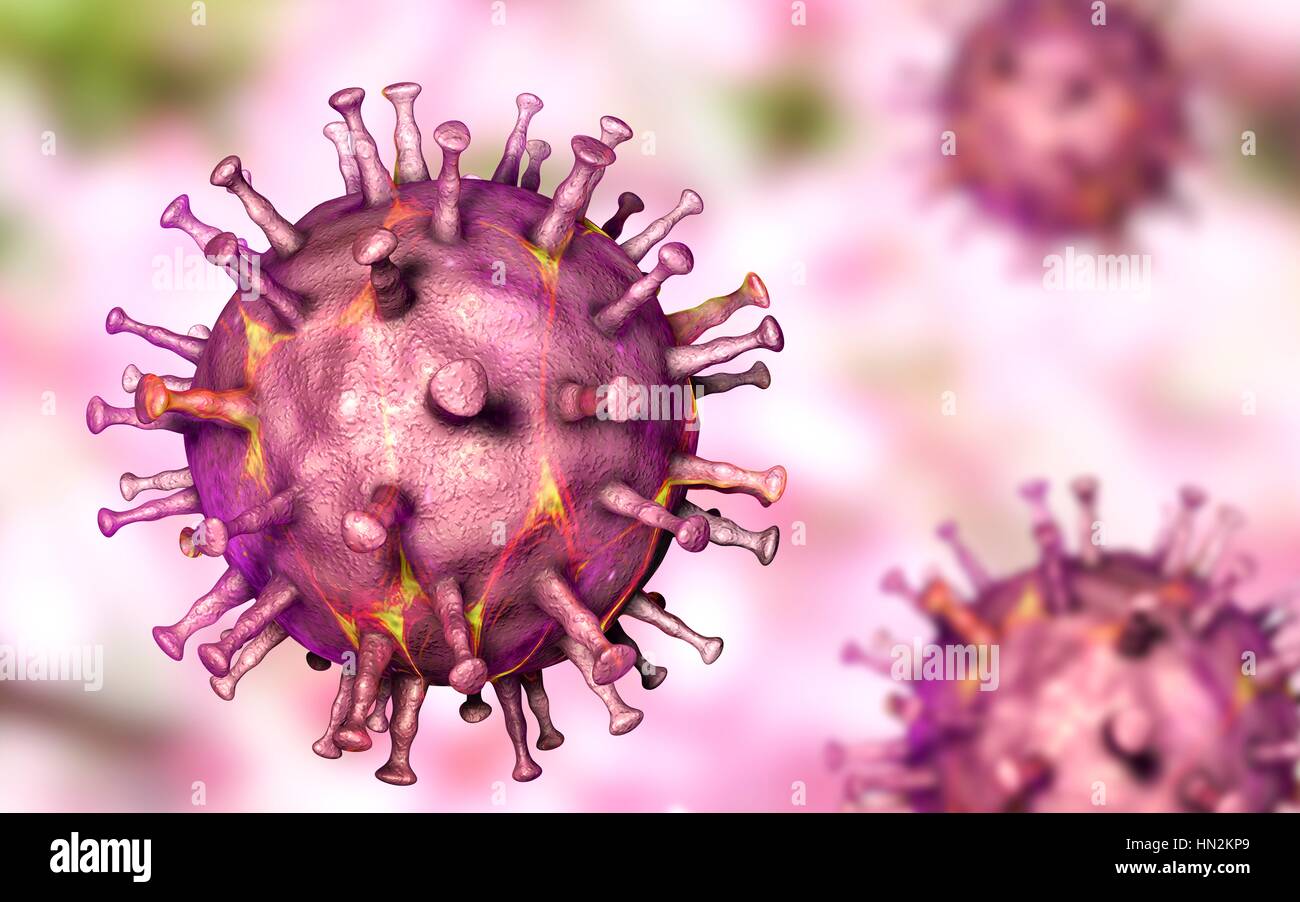 African swine fever virus, illustration. This virus is a member of the ...