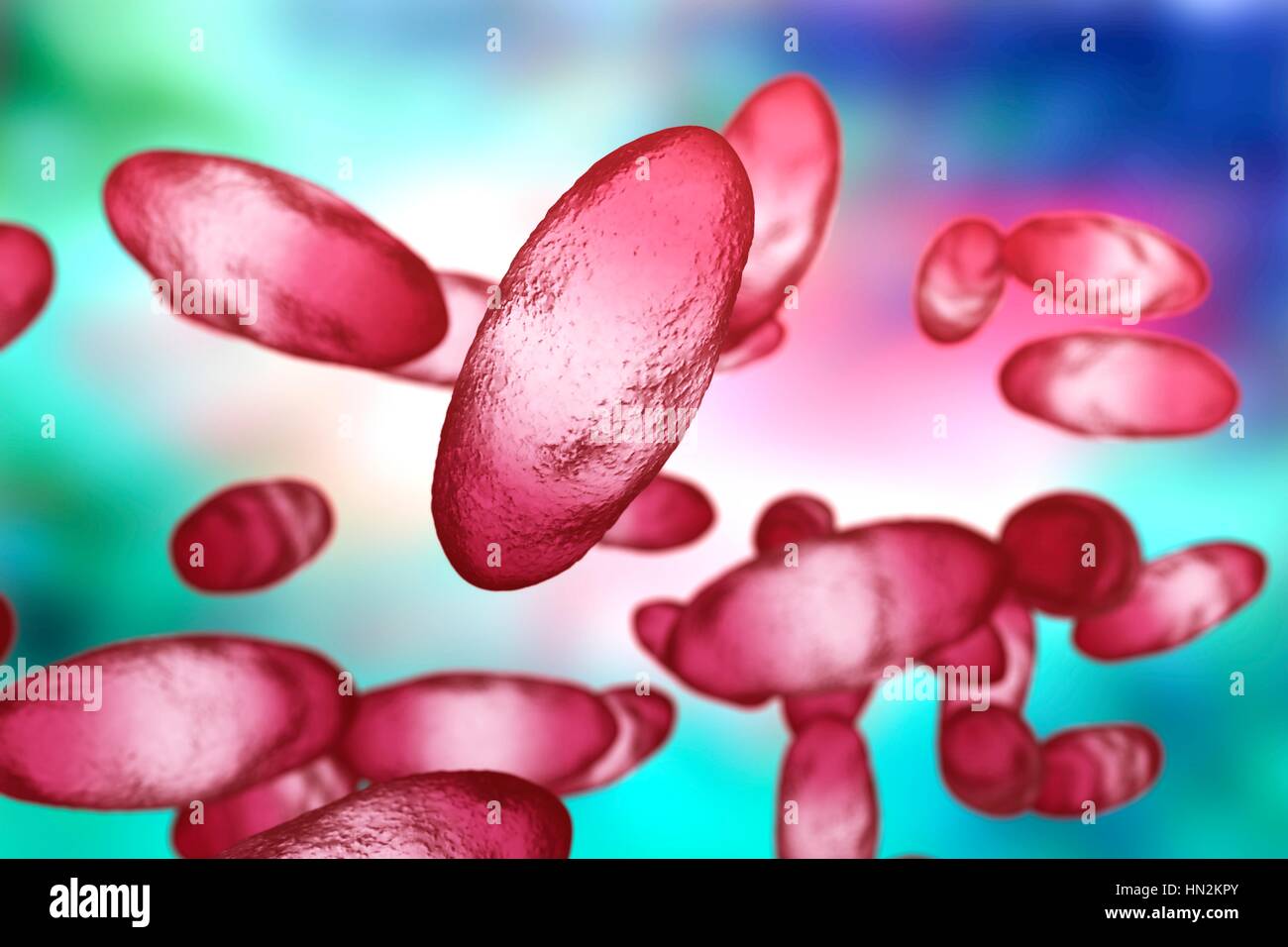 Plague bacteria (Yersinia pestis),computer illustration.Y.pestis are ...