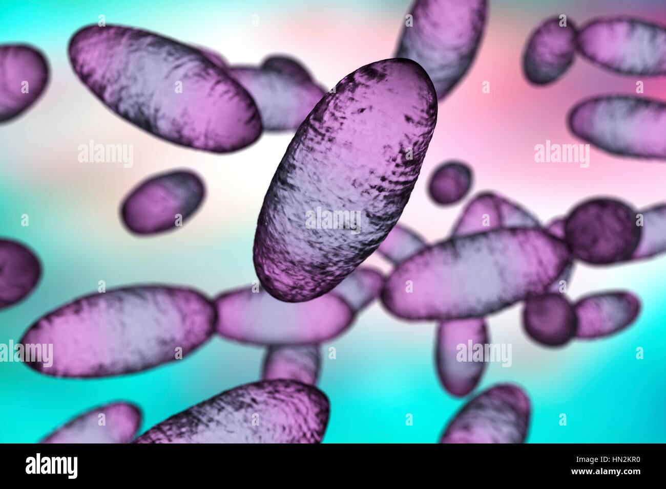 Negative stained bacteria High Resolution Stock Photography and Images ...