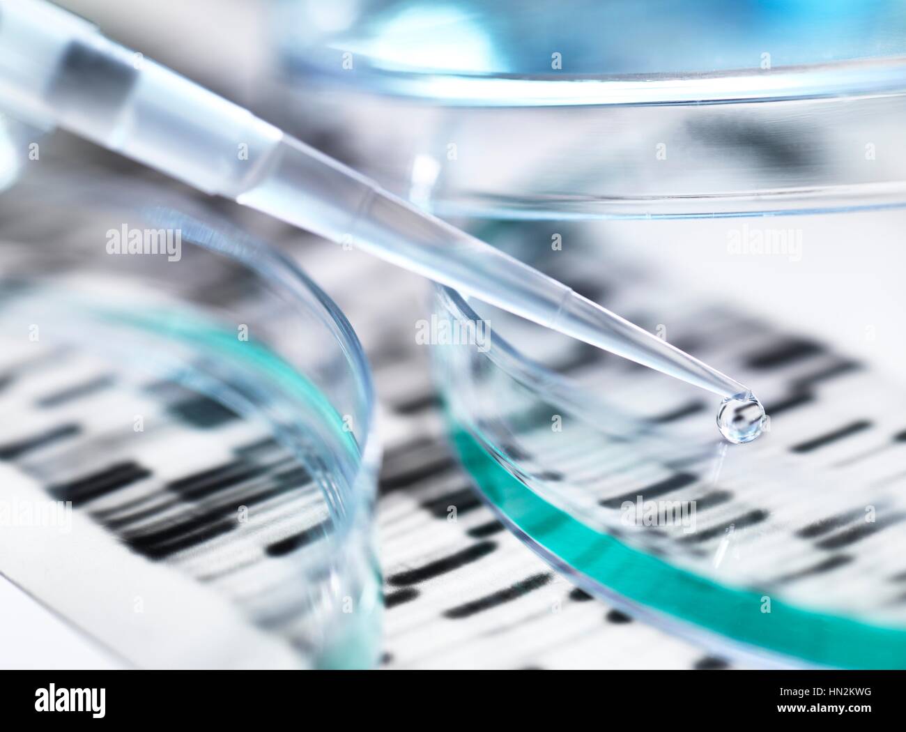Genetics research. Pipette and petri dish in front of a DNA ...