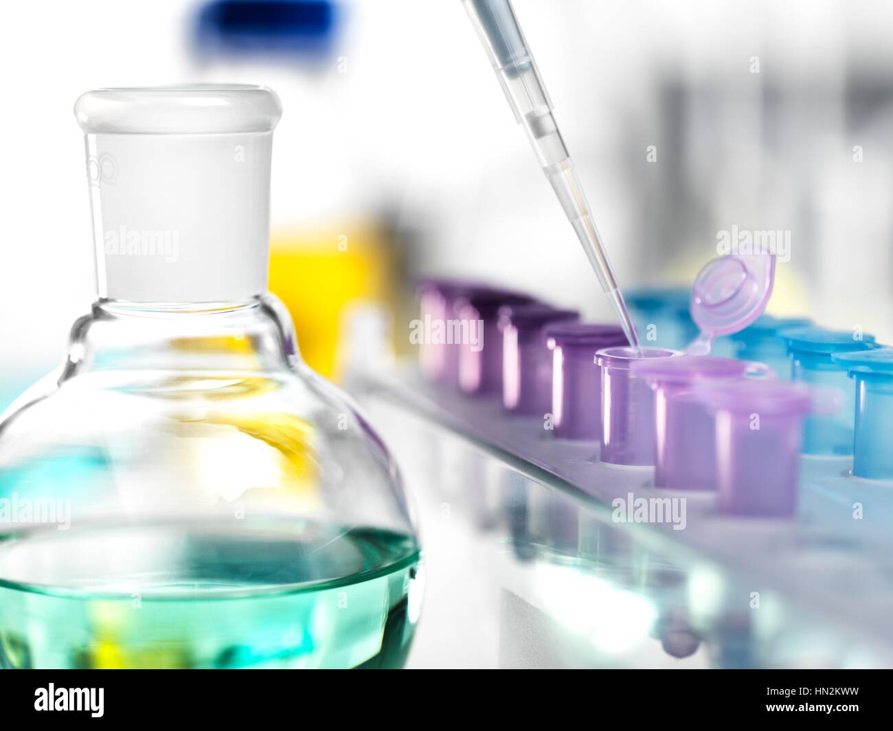 Substance being pipetted from a round-bottom flask into Eppendorf tubes ...