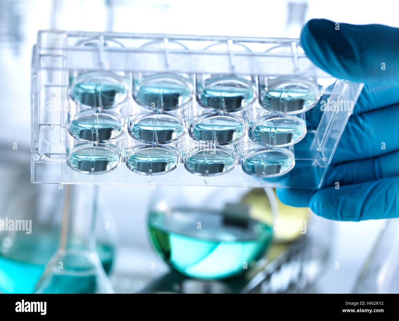 Multiwell plate hi-res stock photography and images - Alamy