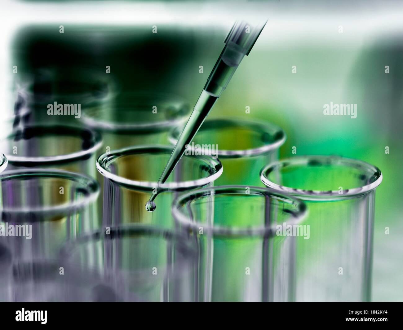 Sample being pipetted into a test tube Stock Photo - Alamy