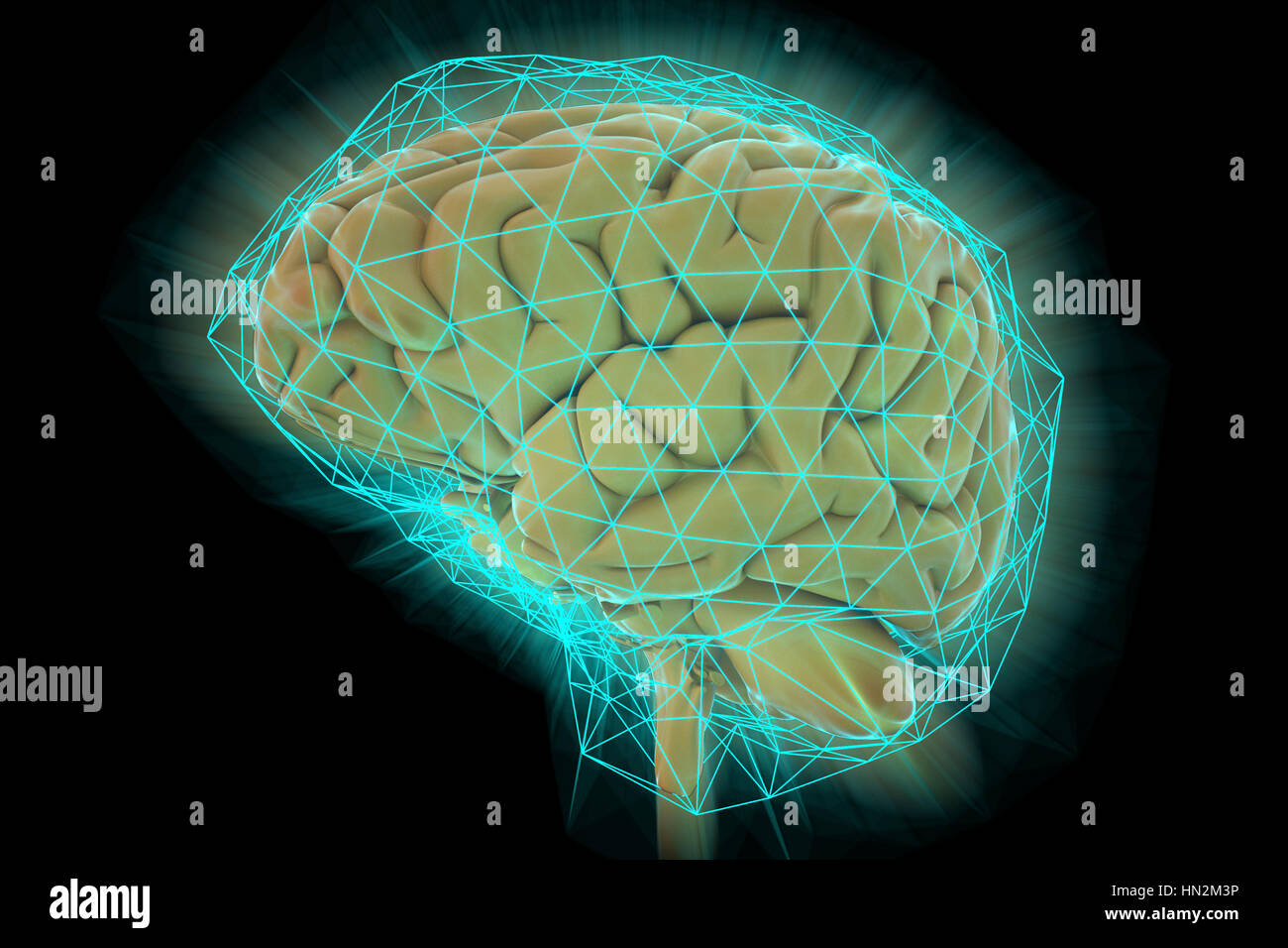 Human brain network, illustration Stock Photo - Alamy