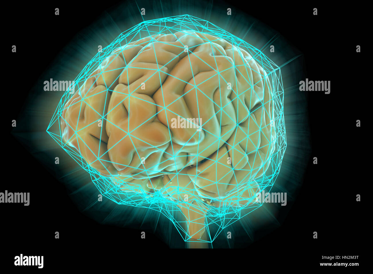 Human brain network, illustration Stock Photo - Alamy