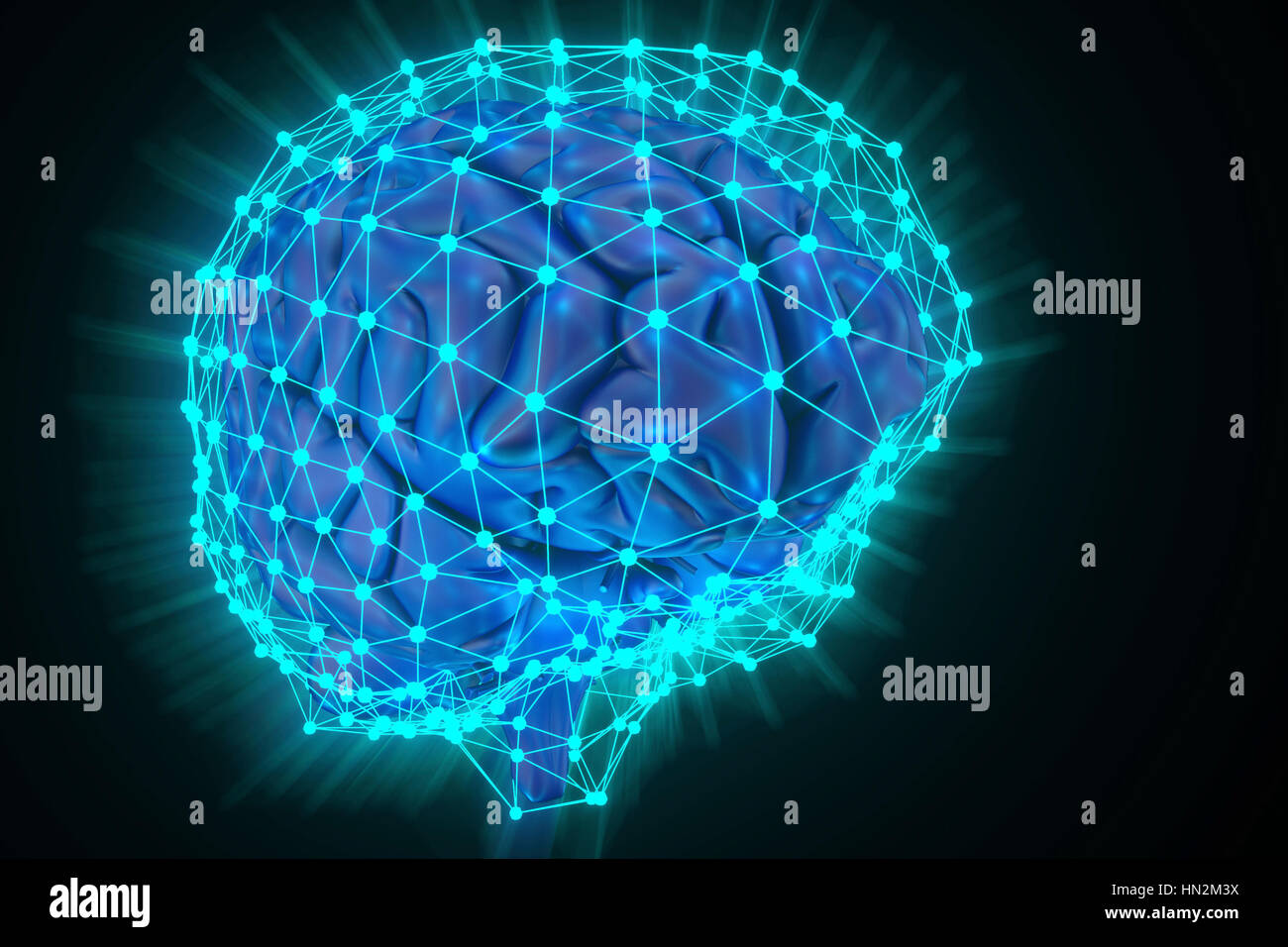 Human brain network, illustration Stock Photo - Alamy