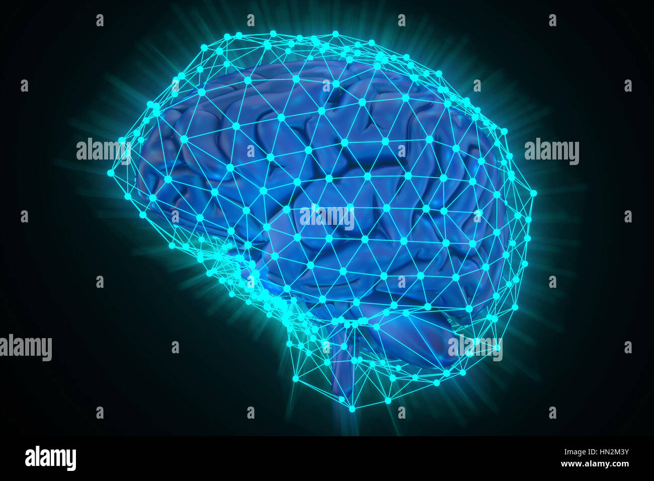 Human brain network, illustration Stock Photo - Alamy