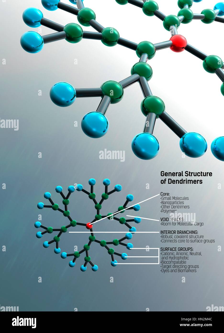 Dendrimers diagram hi-res stock photography and images - Alamy